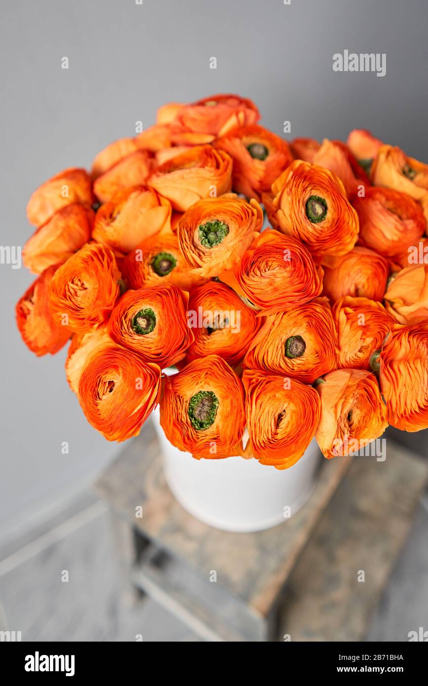Orange Ranunculus