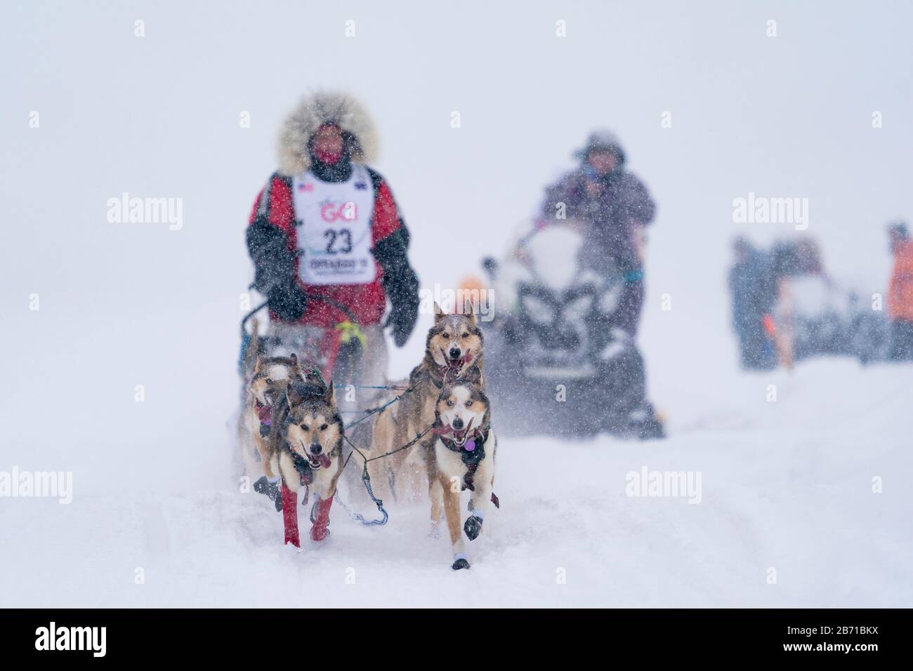 Musher Aily Zirkle competing in the 48th Iditarod Trail Sled Dog Race ...