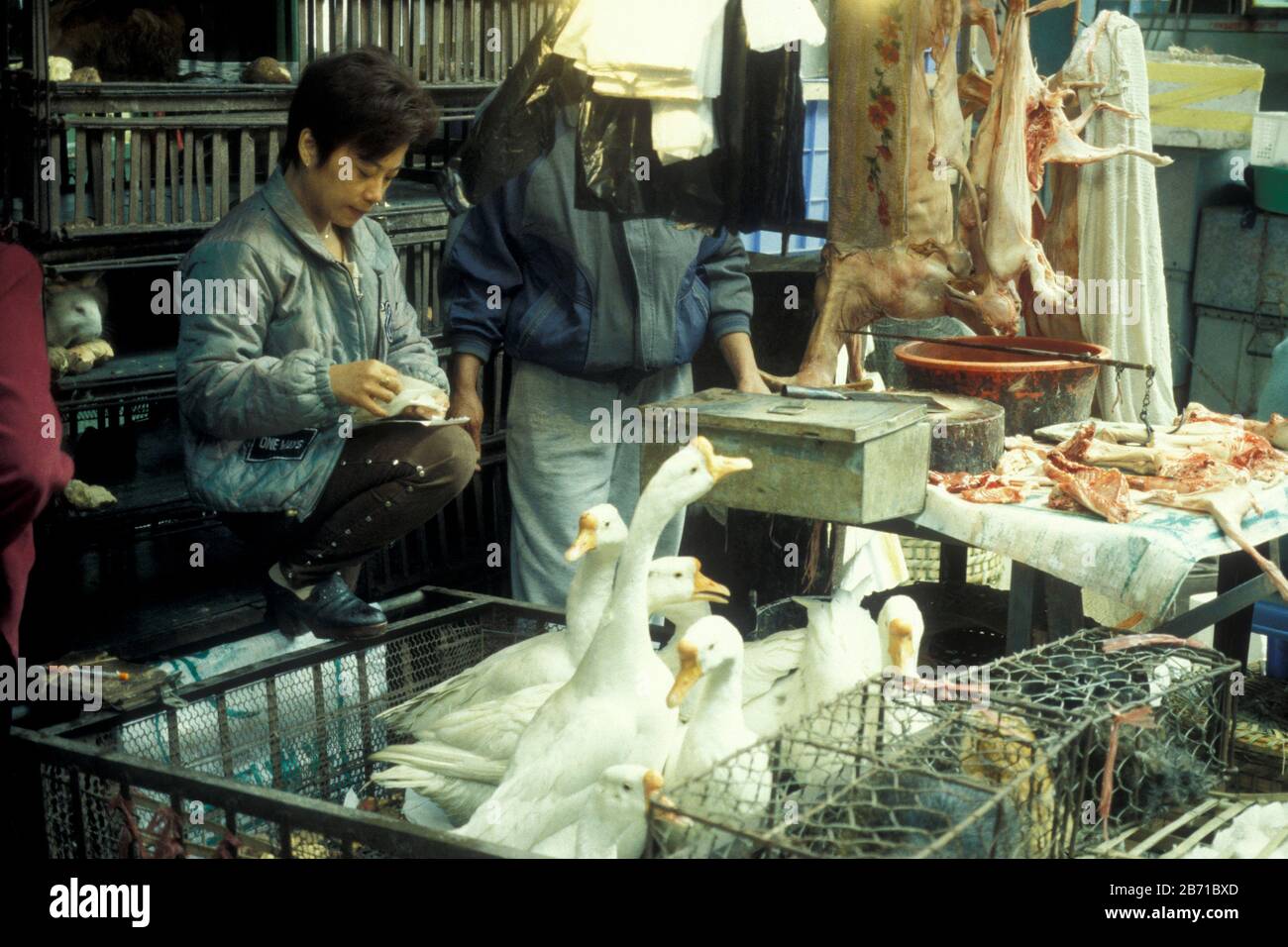 the meat and animal Market in the city of Guangzhou in the province of ...