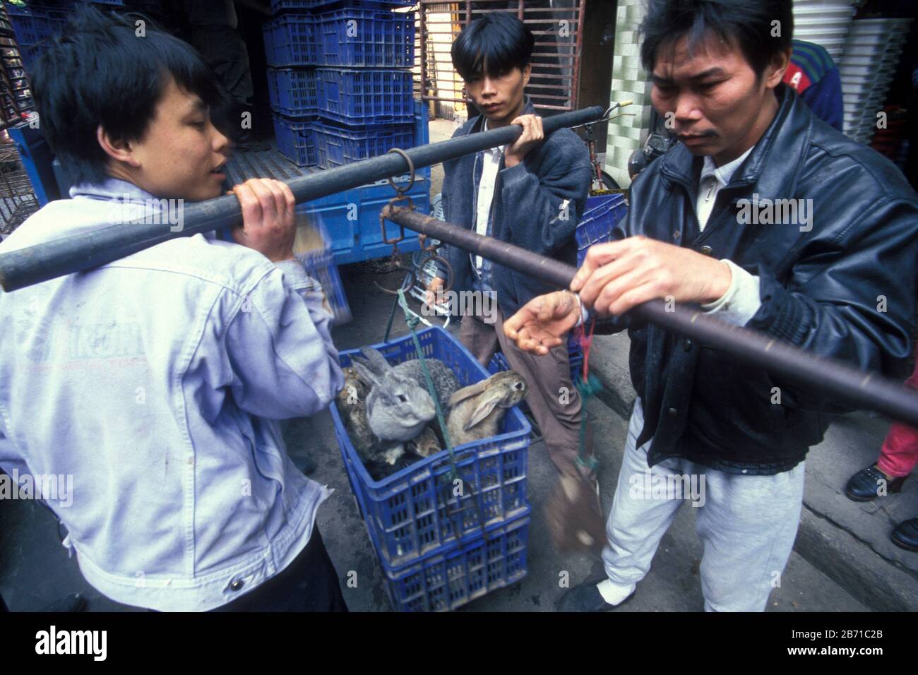rabbit at the seafood and animal Market in the city of Guangzhou in the ...