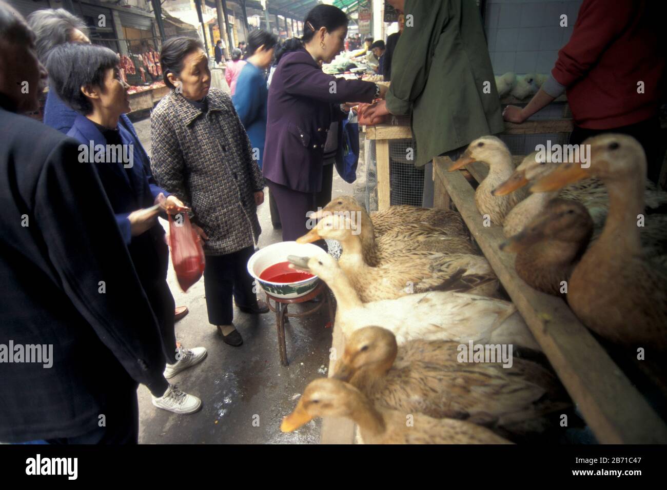a duck market at the animal and seafood market in the old town in the ...