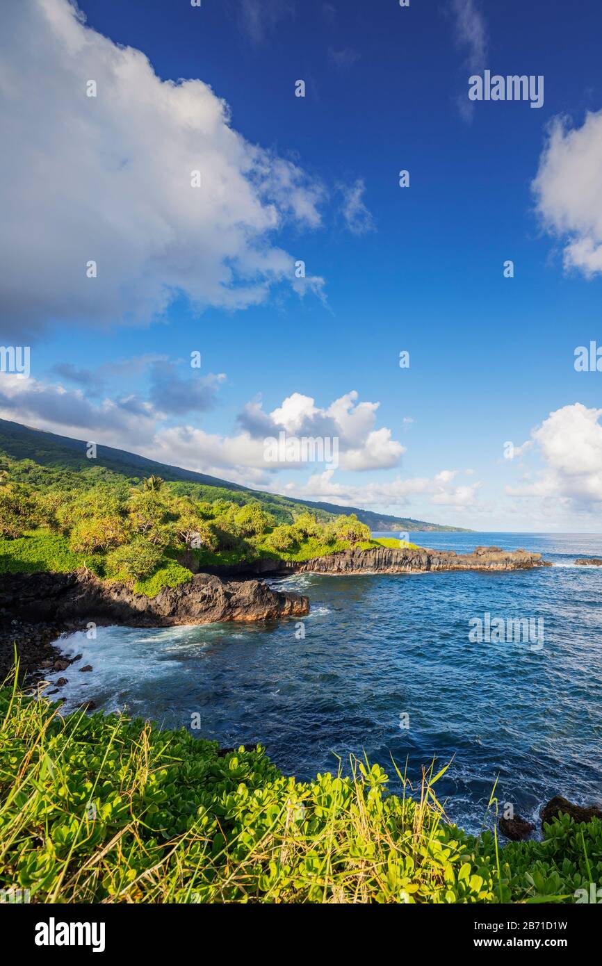 United States of America, Hawaii, Maui island, Haleakala National Park ...