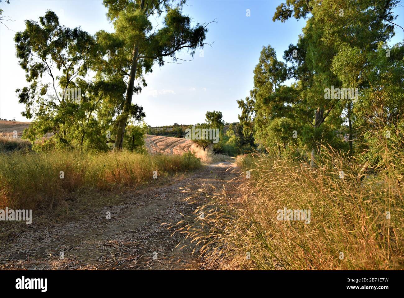 campagna siciliana; country in Sicily Stock Photo - Alamy