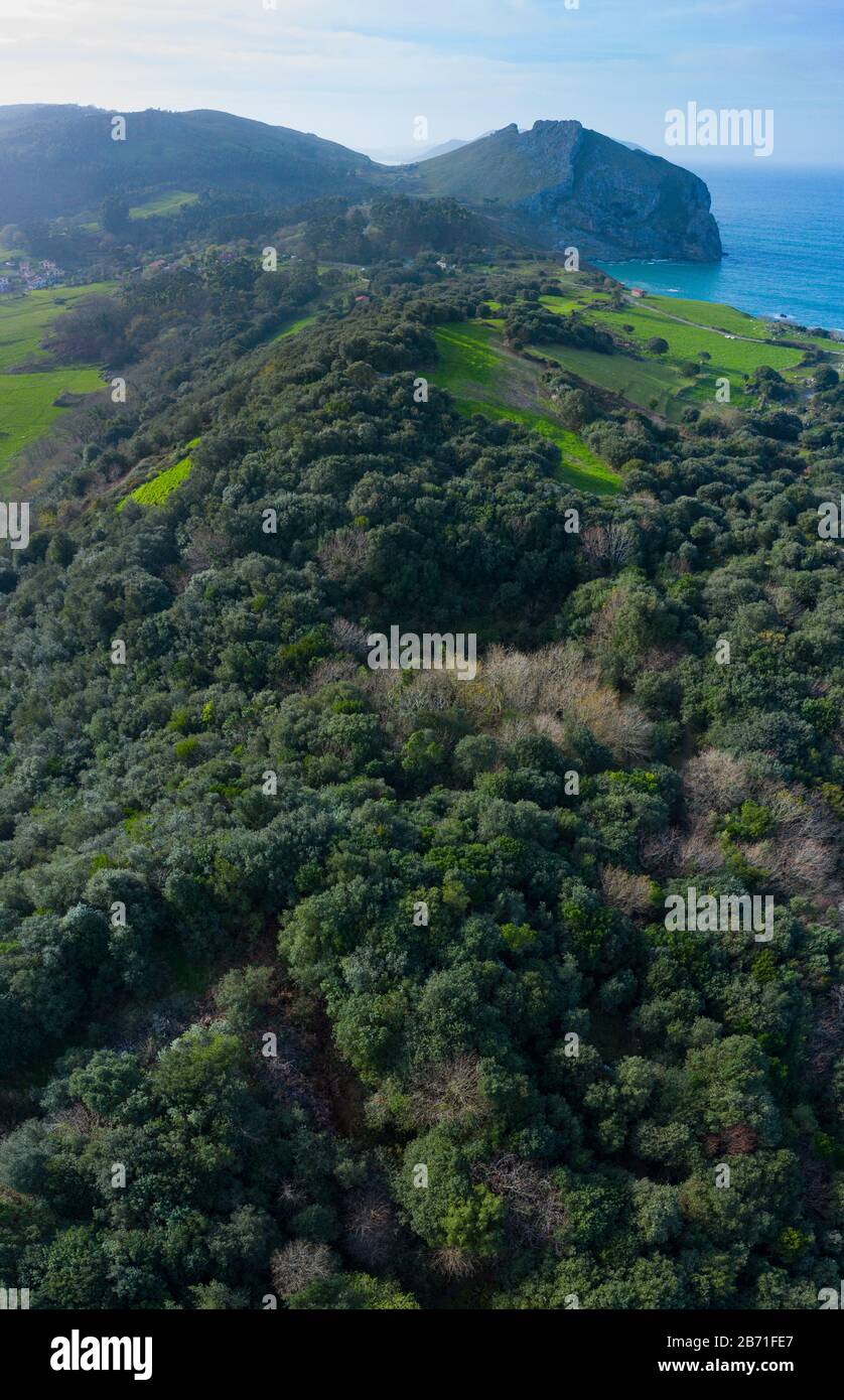 Aerial view of the countryside and the Cantabrian oak forest in the ...