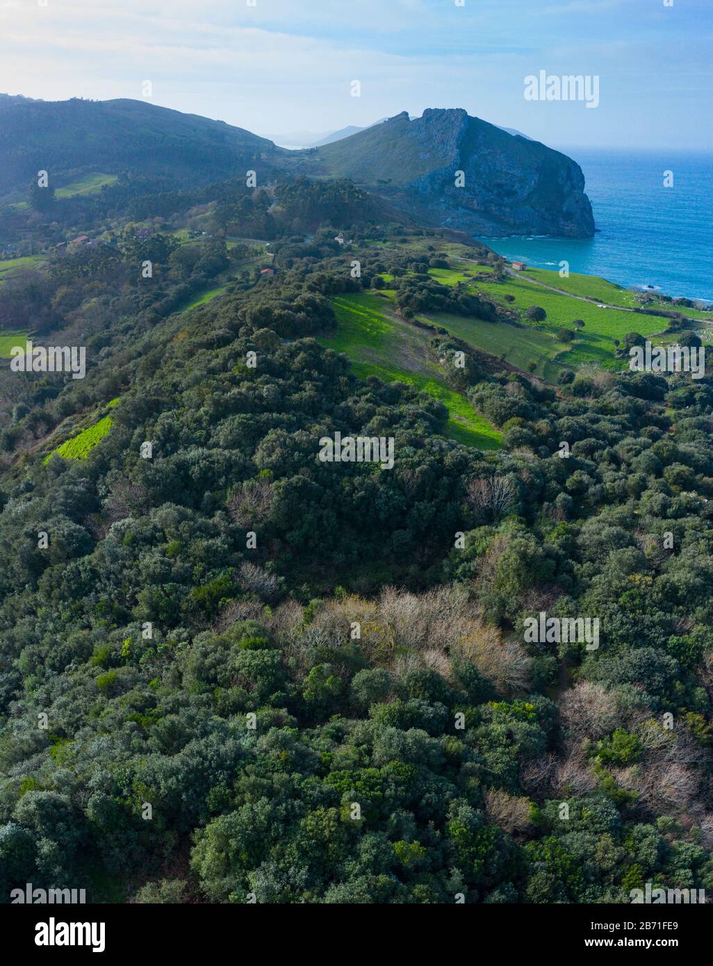 Aerial view of the countryside and the Cantabrian oak forest in the ...