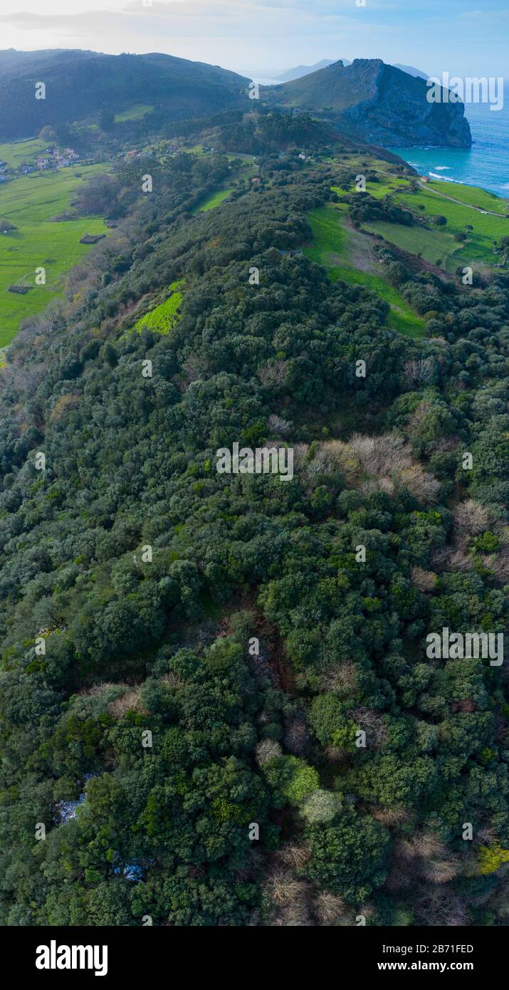 Aerial view of the countryside and the Cantabrian oak forest in the ...