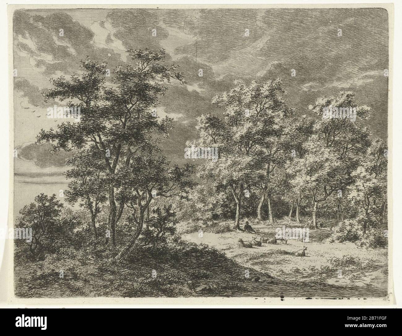 Seven sheep hi-res stock photography and images - Alamy