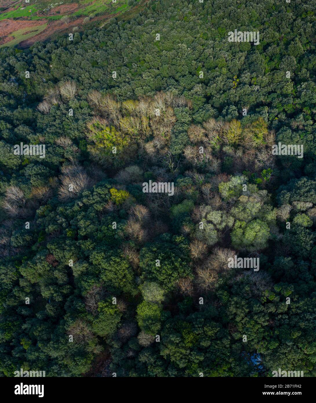 Aerial view of the countryside and the Cantabrian oak forest in the ...