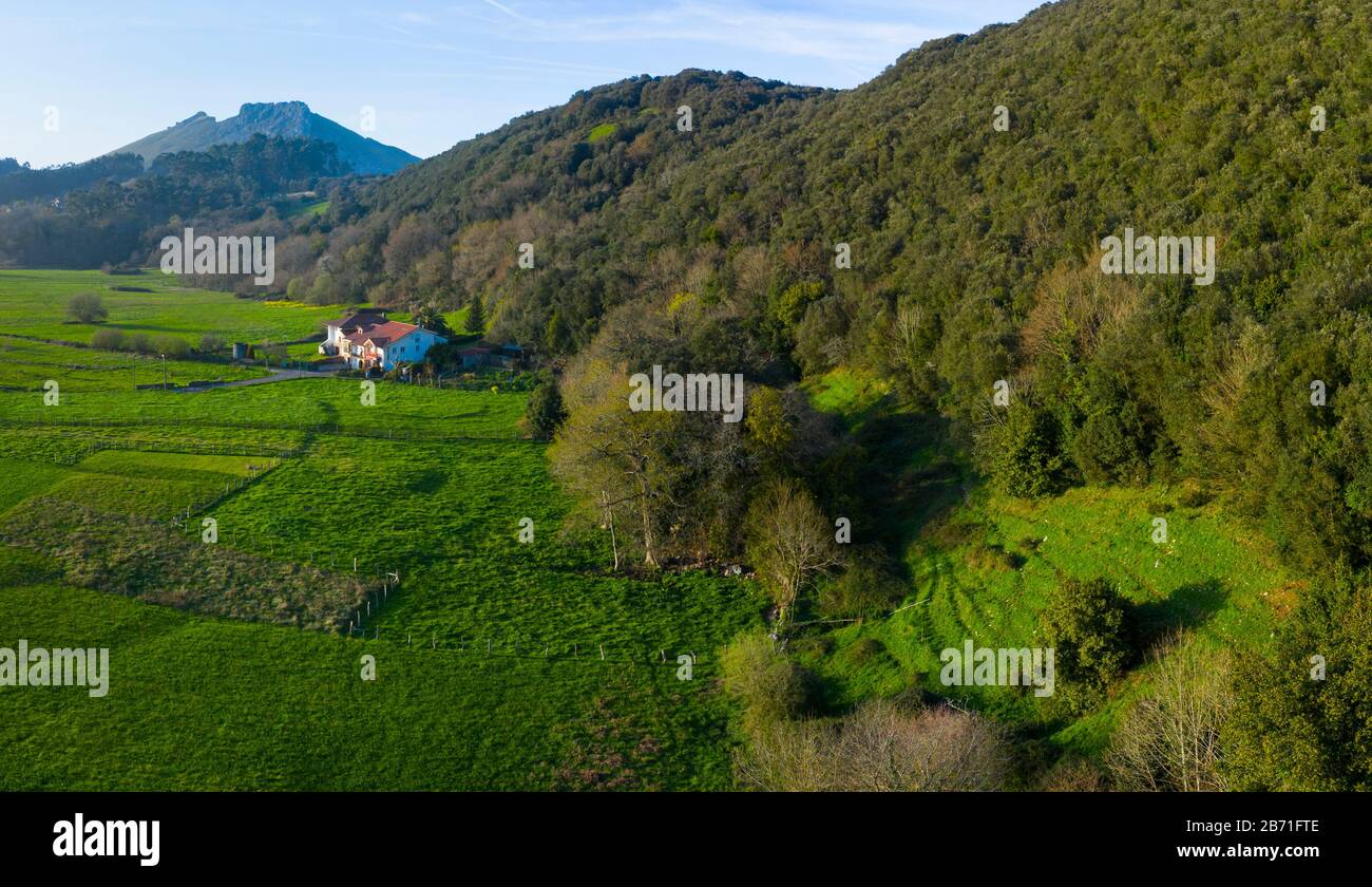 Aerial view of the countryside and the Cantabrian oak forest in the ...
