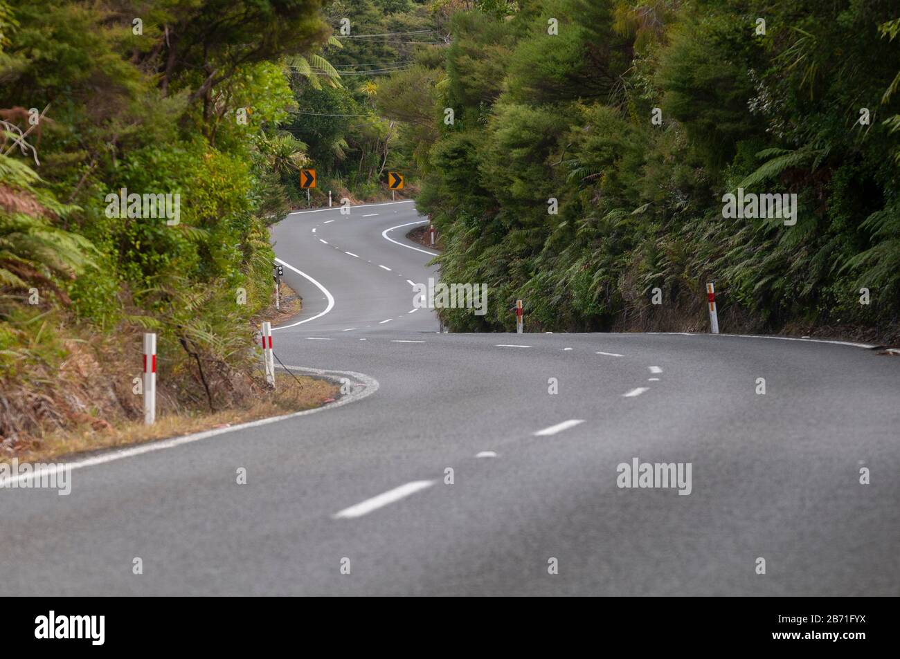 Winding road toward Piha, on New Zealand's north island Stock Photo - Alamy