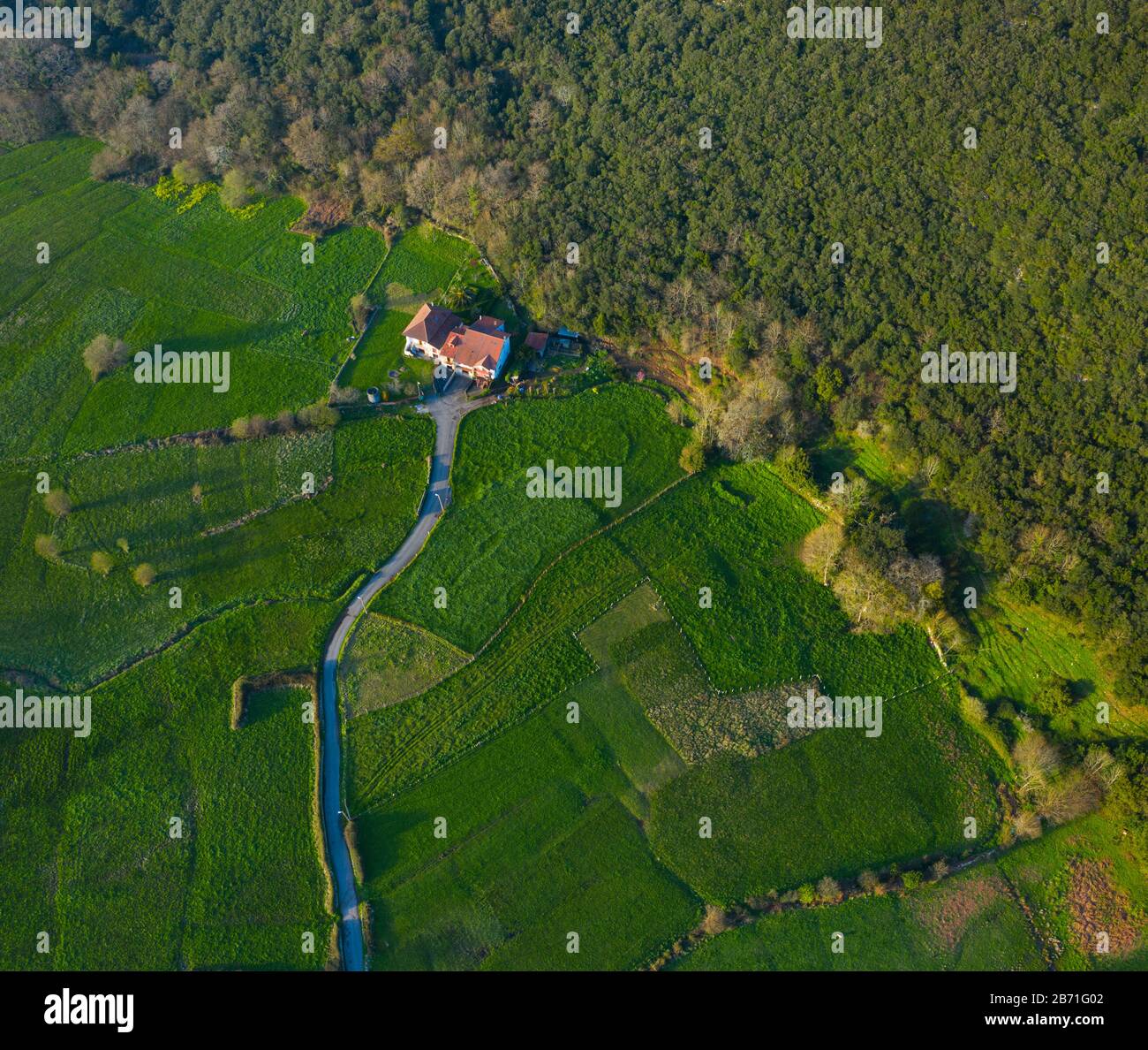 Aerial view of the countryside and the Cantabrian oak forest in the ...