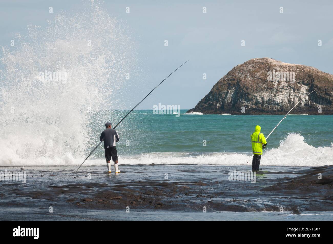 Dedicated fisherman near a rough ocean edge at Muriwai beach on New ...