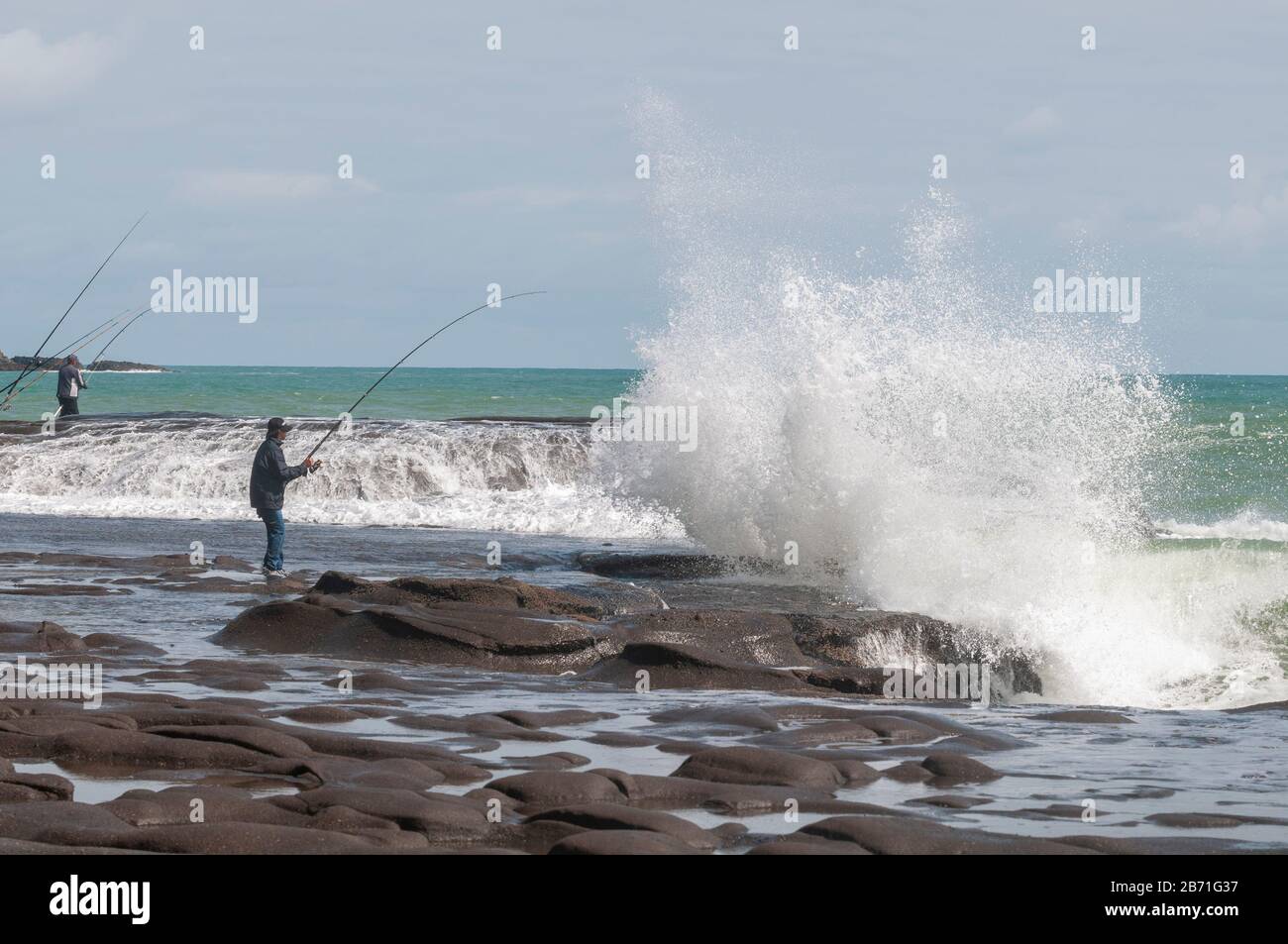 Dedicated fisherman near a rough ocean edge at Muriwai beach on New ...