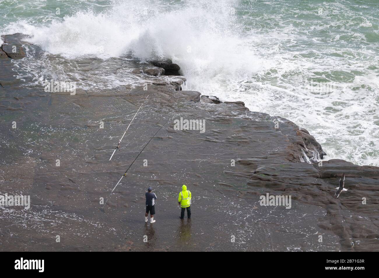 Dedicated fisherman near a rough ocean edge at Muriwai beach on New ...