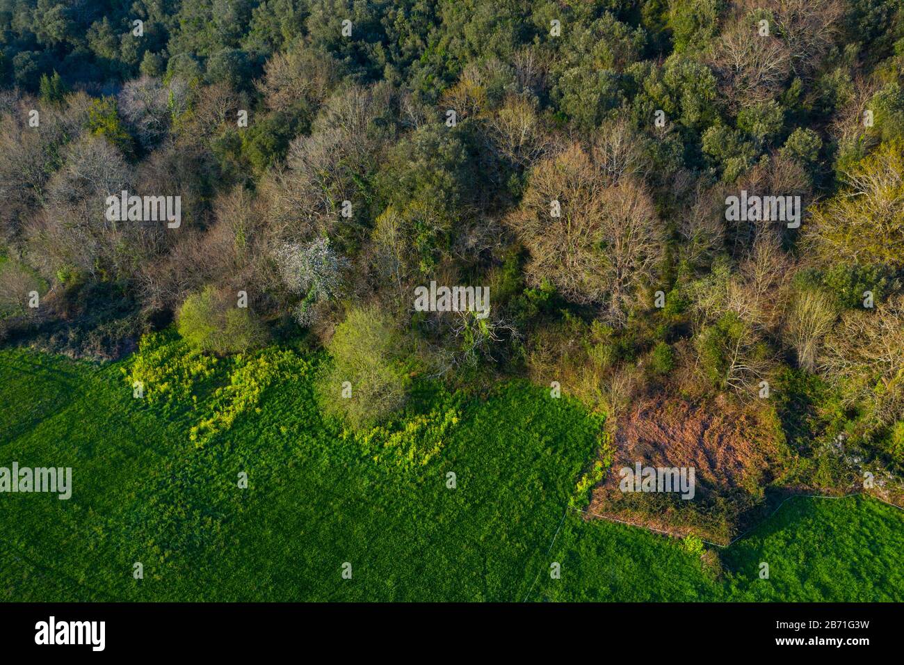 Aerial view of the countryside and the Cantabrian oak forest in the ...