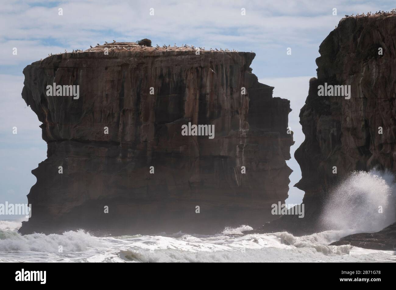 Rocky, jagged cliffs and surf at Muriwai, on New Zealand's north island ... Rocky, jagged cliffs and surf at Muriwai, on New Zealand's north island ...