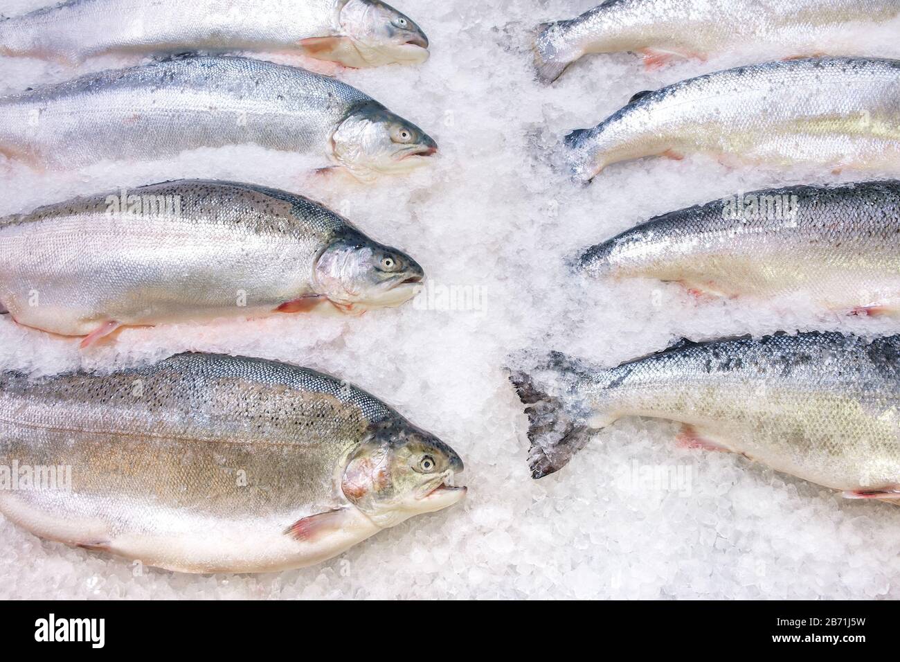 Fresh Norwegian salmon on ice in supermarket Stock Photo - Alamy