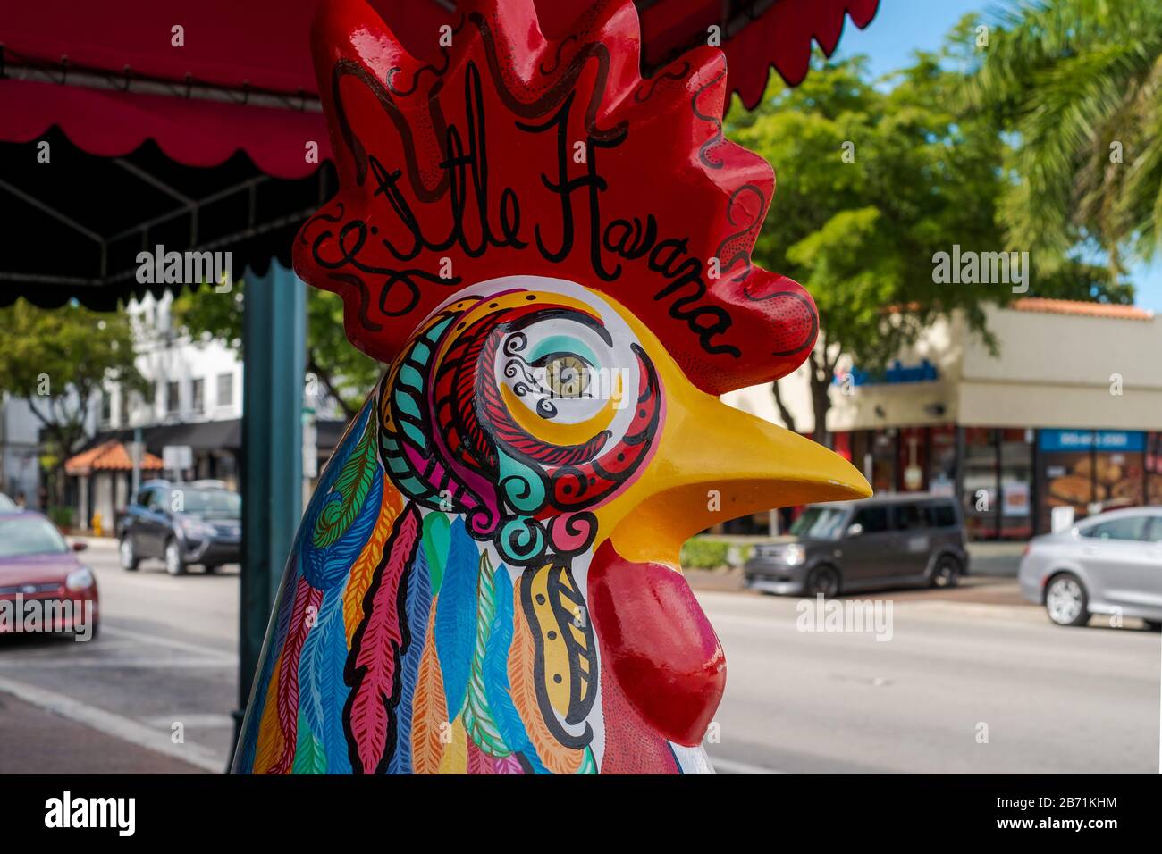 Miami, Florida, United States of America. 01 04 2016. The head of ...