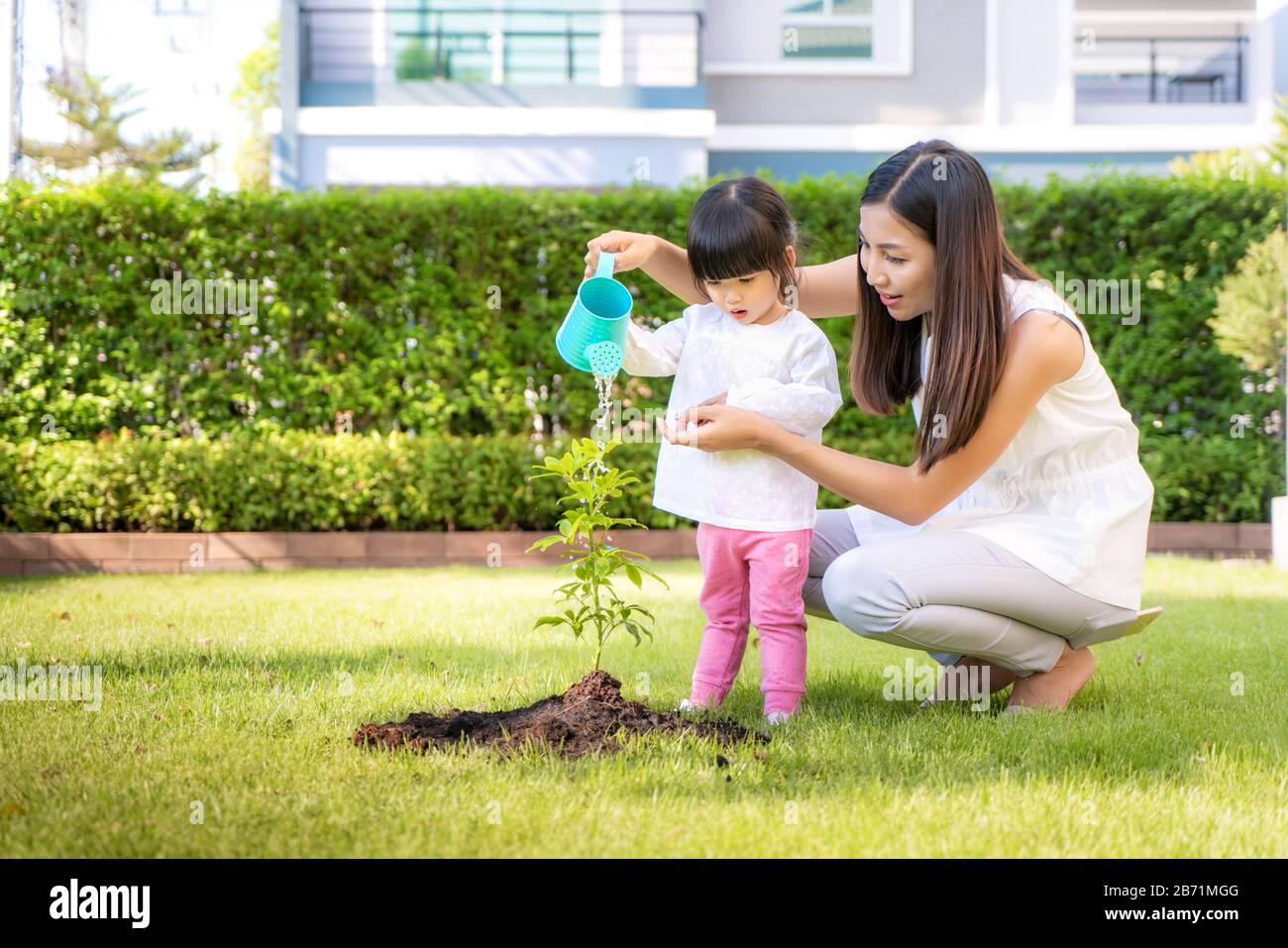 Asian family mother and kid daughter plant sapling tree and watering ...