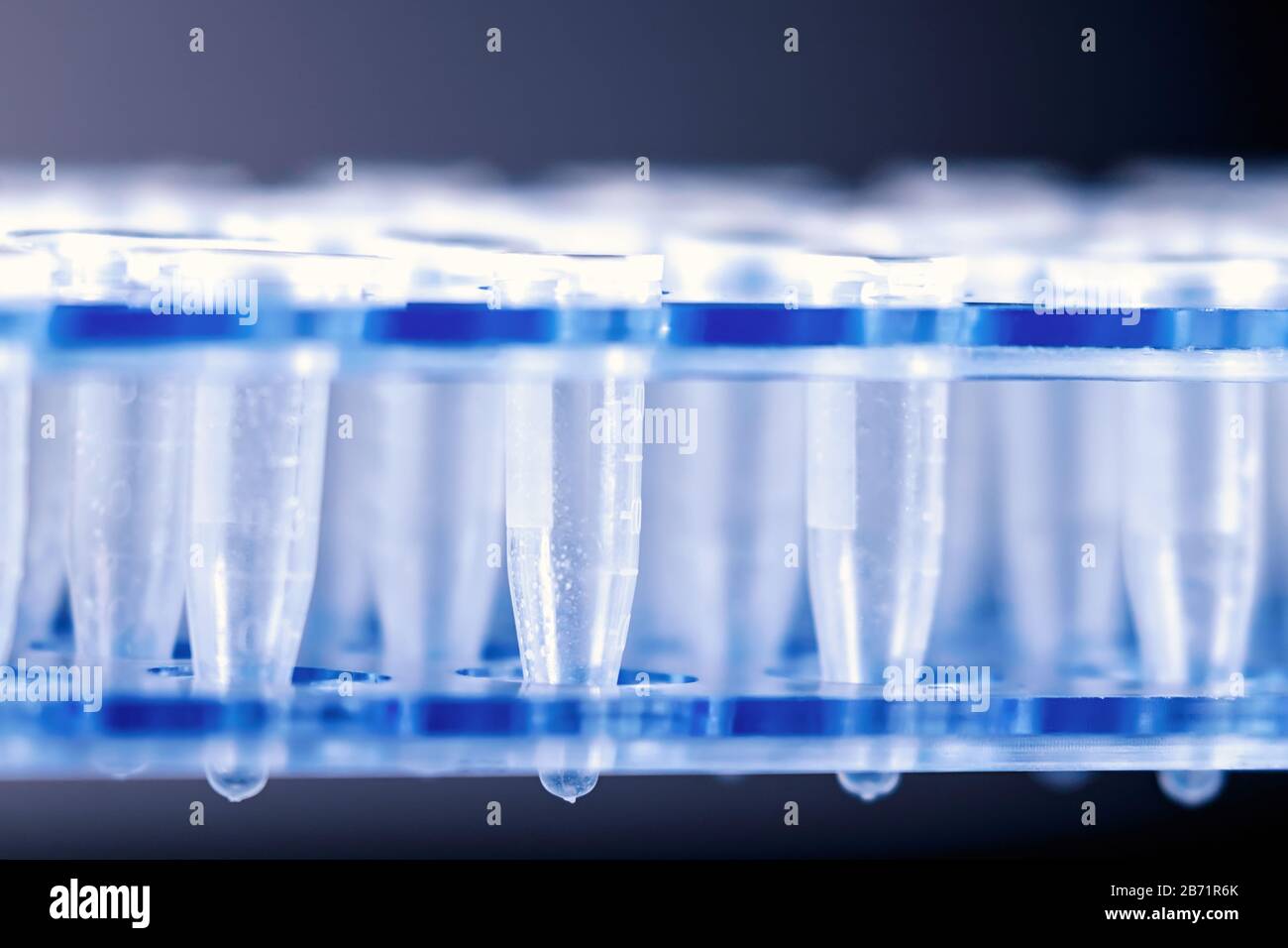 Plastic centrifuge test tubes hi-res stock photography and images - Alamy