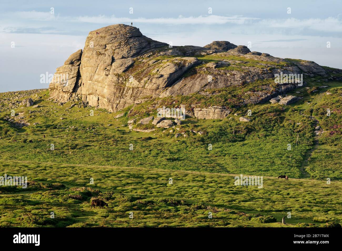 Late Sun on Haytor Rocks, Dartmoor, Devon, UK Stock Photo - Alamy