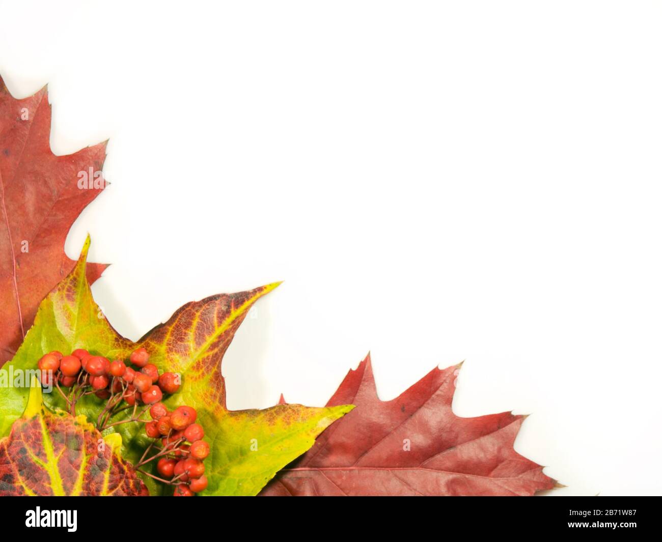 Colourfull autumn background made from leaves Stock Photo - Alamy