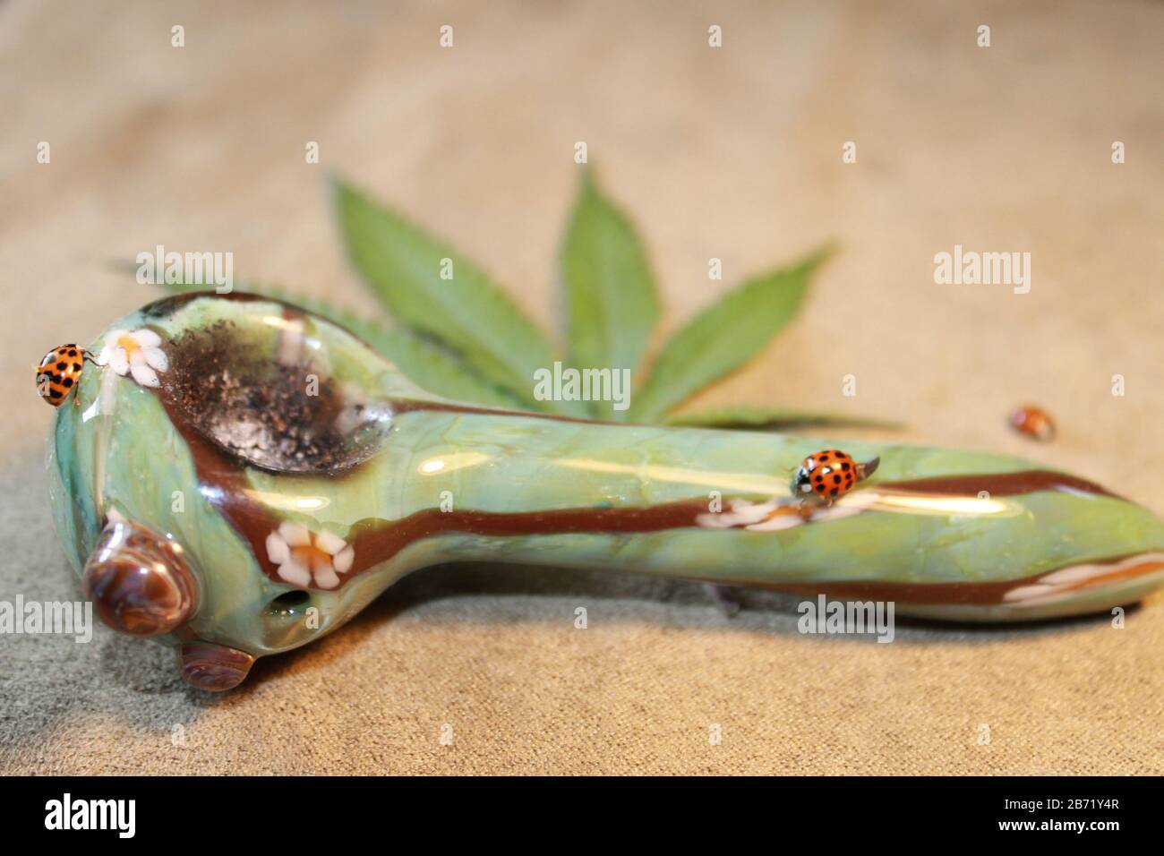 Weed out hi-res stock photography and images - Alamy