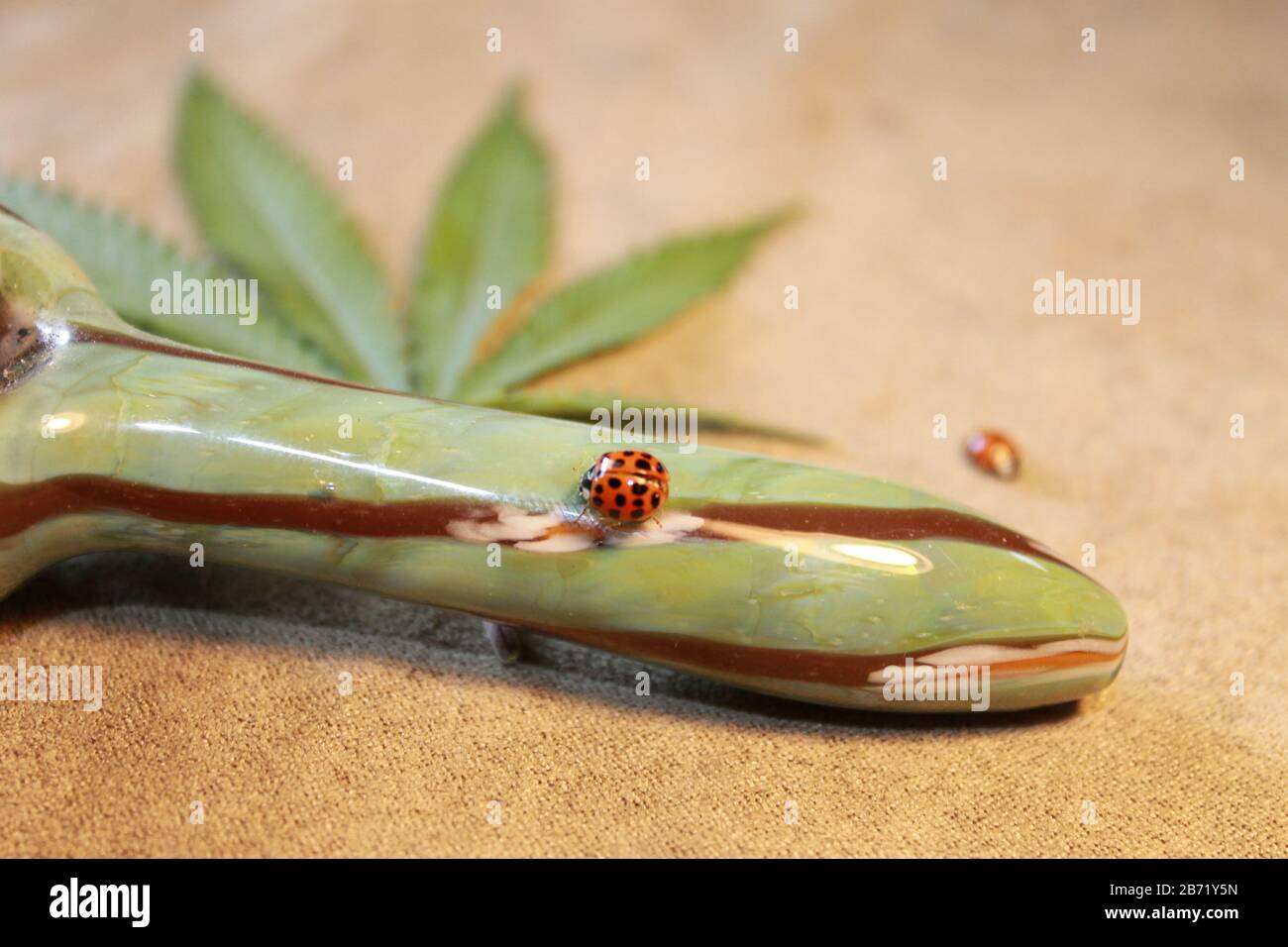 Weed out hi-res stock photography and images - Alamy
