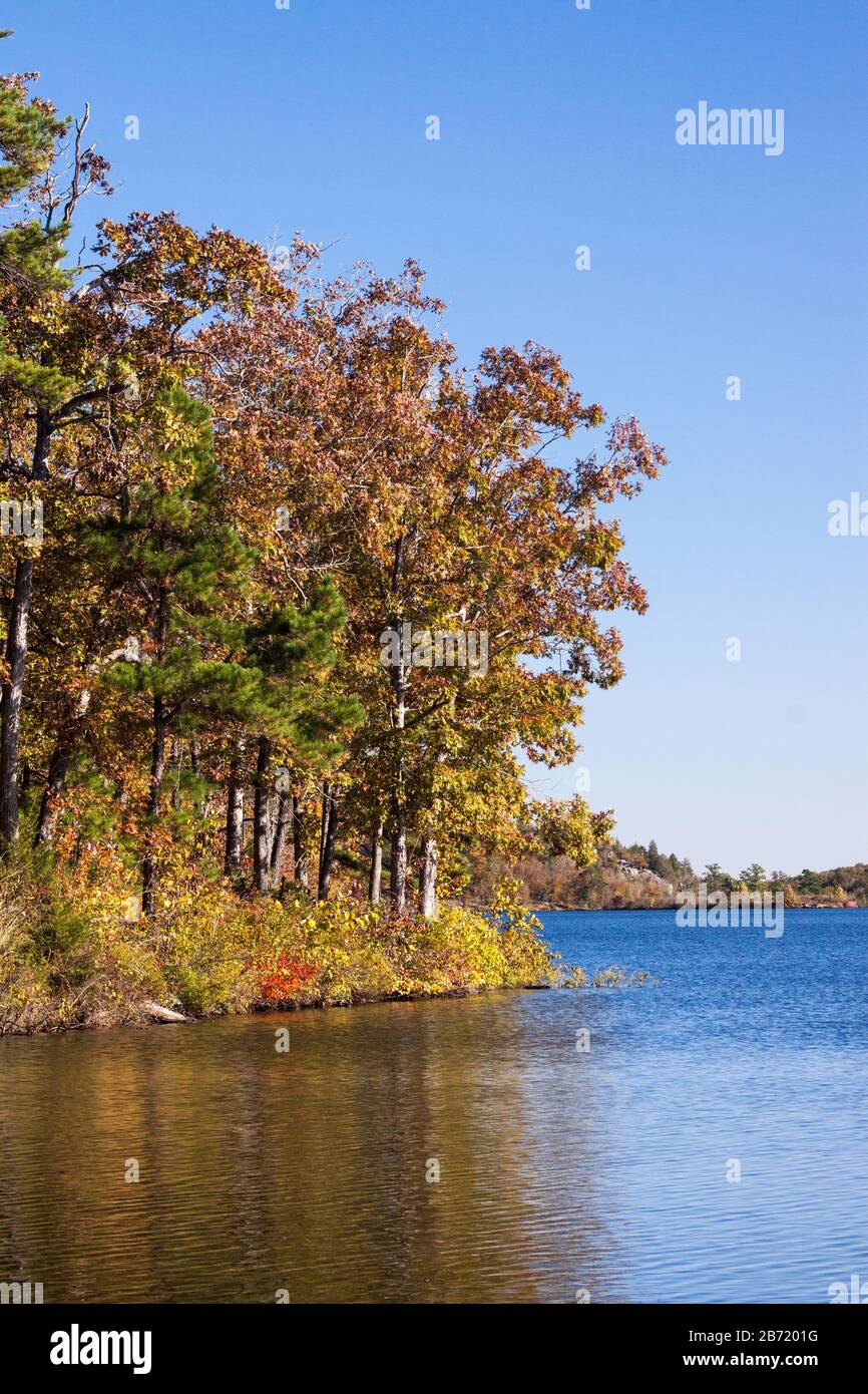 Crane at pond hi-res stock photography and images - Alamy