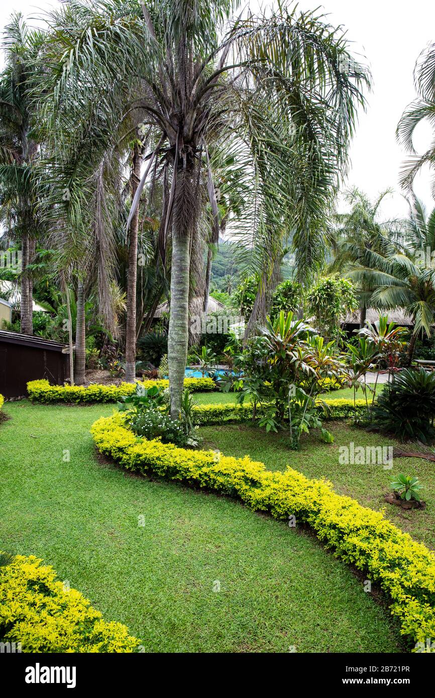 Cook islands flowers hi-res stock photography and images - Alamy