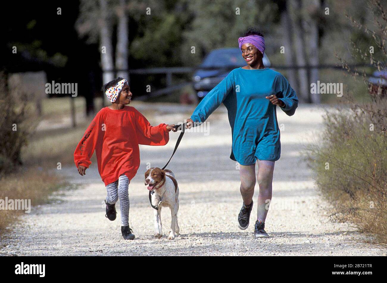 Jamaican dog hi-res stock photography and images - Alamy
