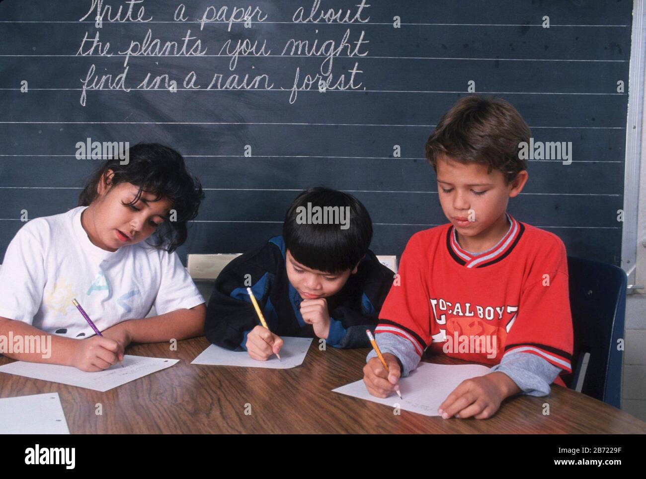 Students working collaboratively hi-res stock photography and images ...