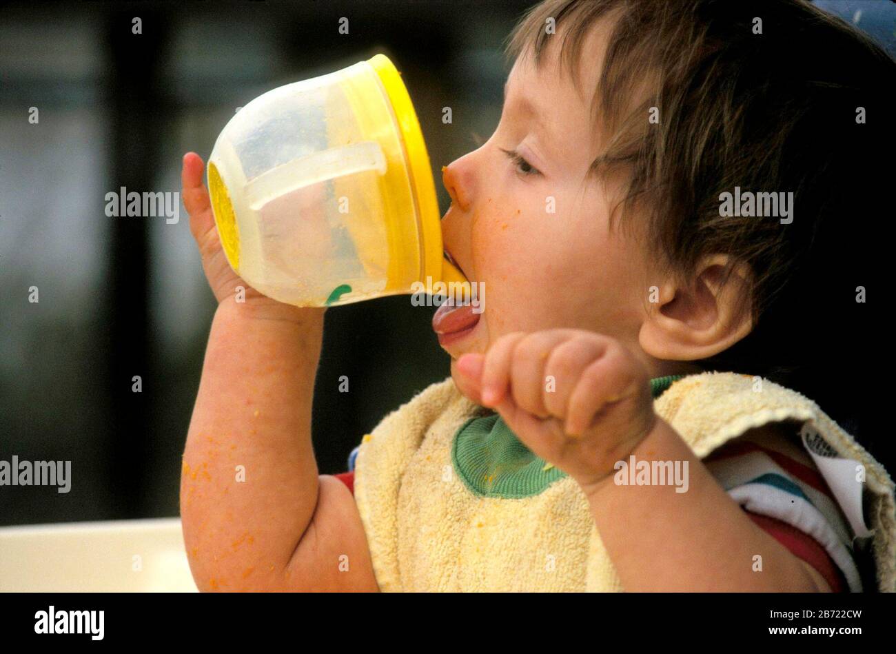 Austin Texas USA Ten-month-old baby boy drinking from a sippy cup. MR ...