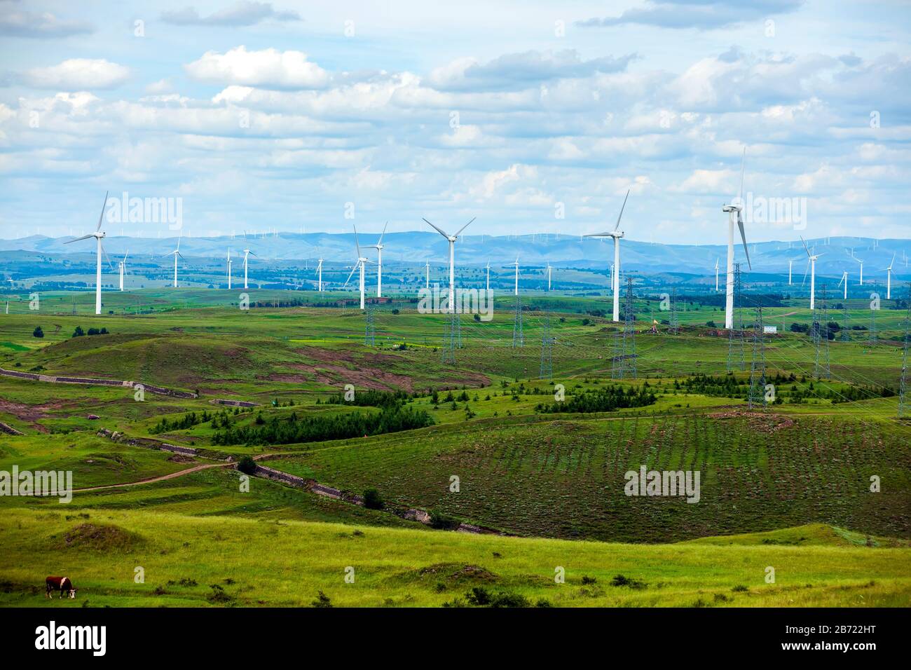 Wind turbines in the grasslands Stock Photo - Alamy