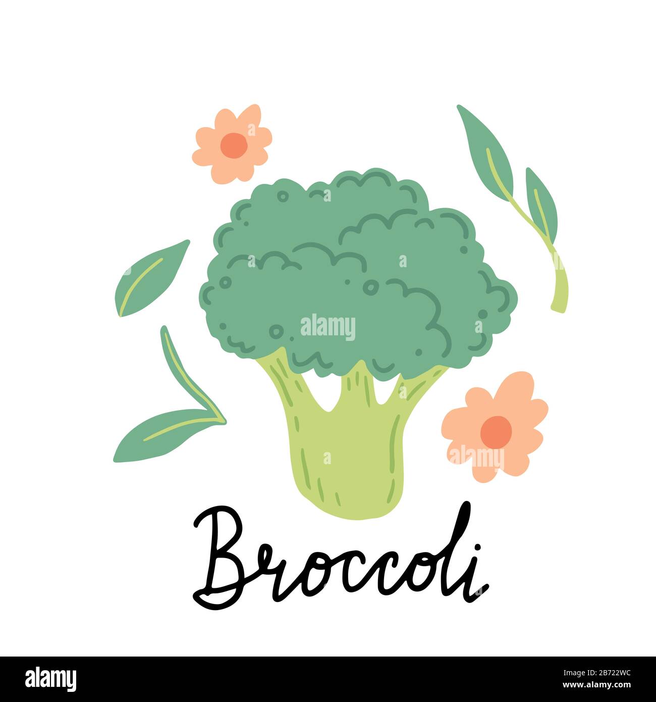 Broccoli vector illustration isolated. Concept of healthy food ...