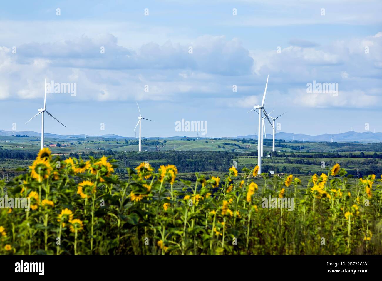 Wind turbines in the grasslands Stock Photo - Alamy