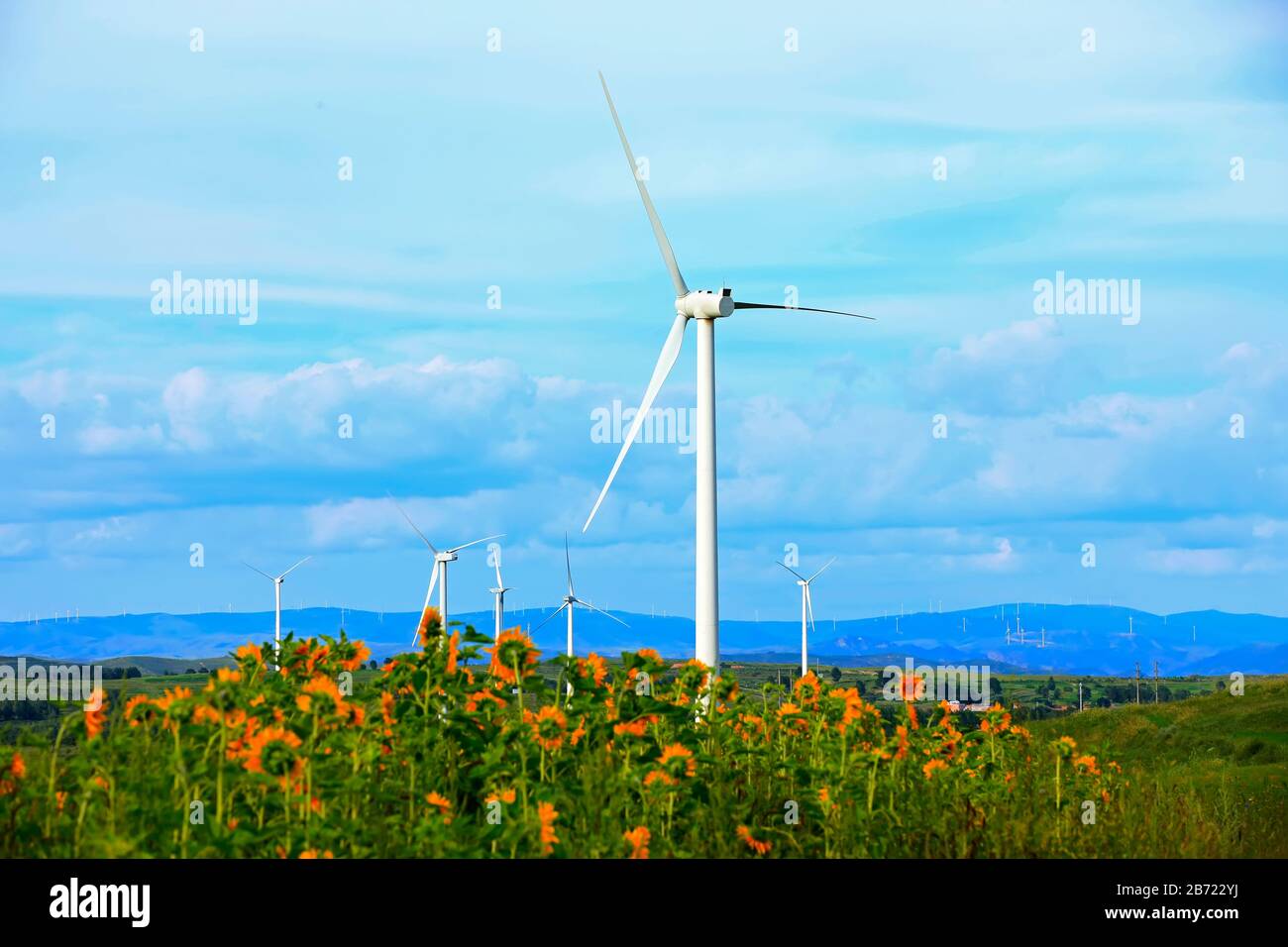 Wind turbines in the grasslands Stock Photo - Alamy