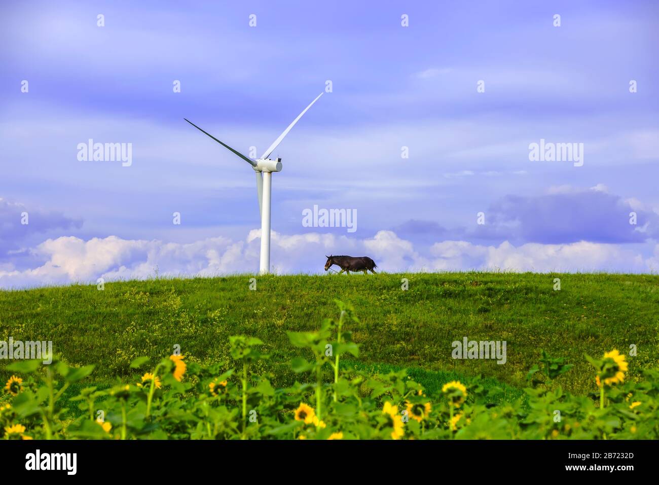 Wind turbines in the grasslands Stock Photo - Alamy