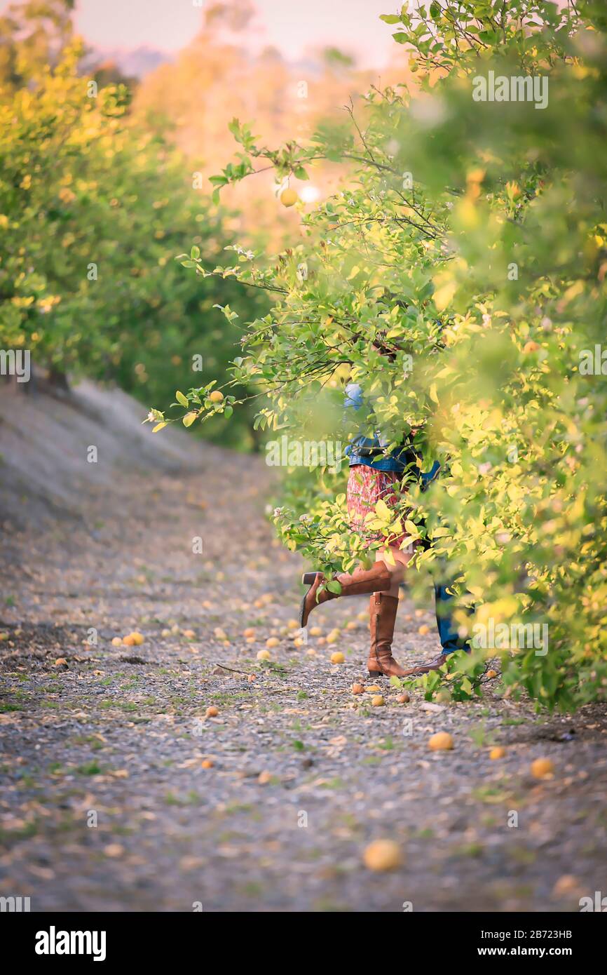 Couple on a nature path embracing behind some trees and bushes in a ...