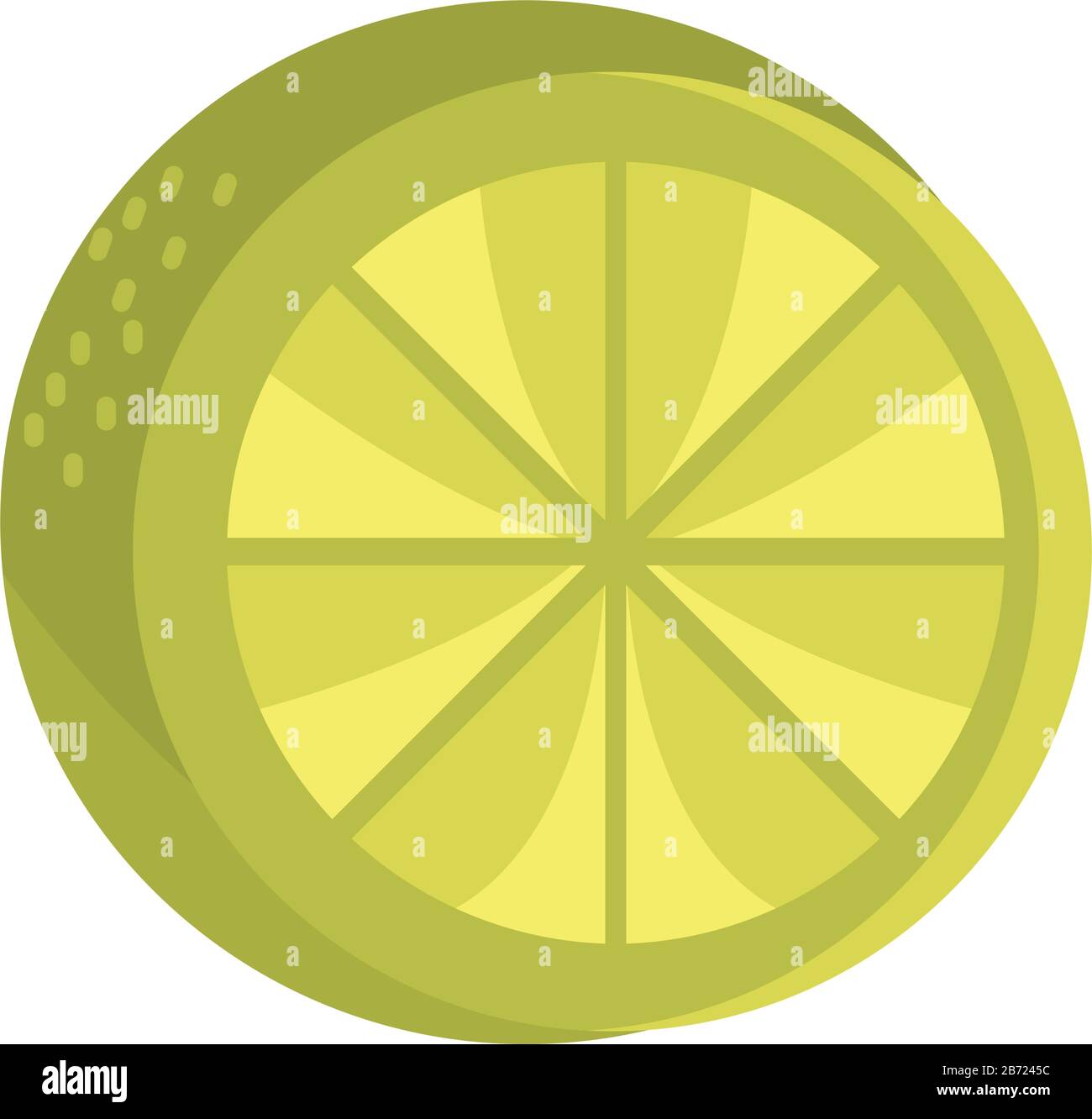 slice lemon citrus fruit tropical vector illustration Stock Vector ...