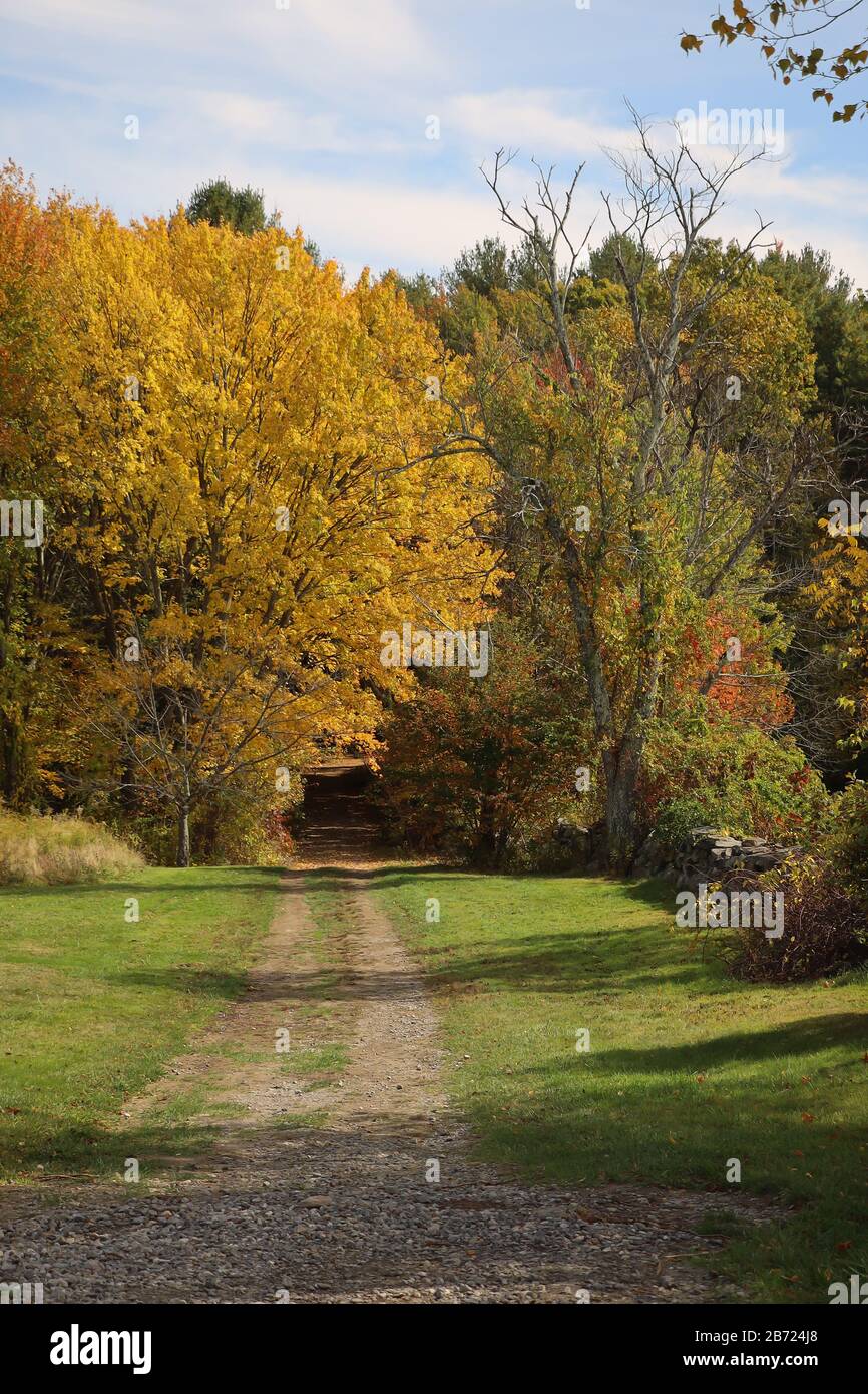 rural country dirt road leading into a fall colorful landscape Stock ...