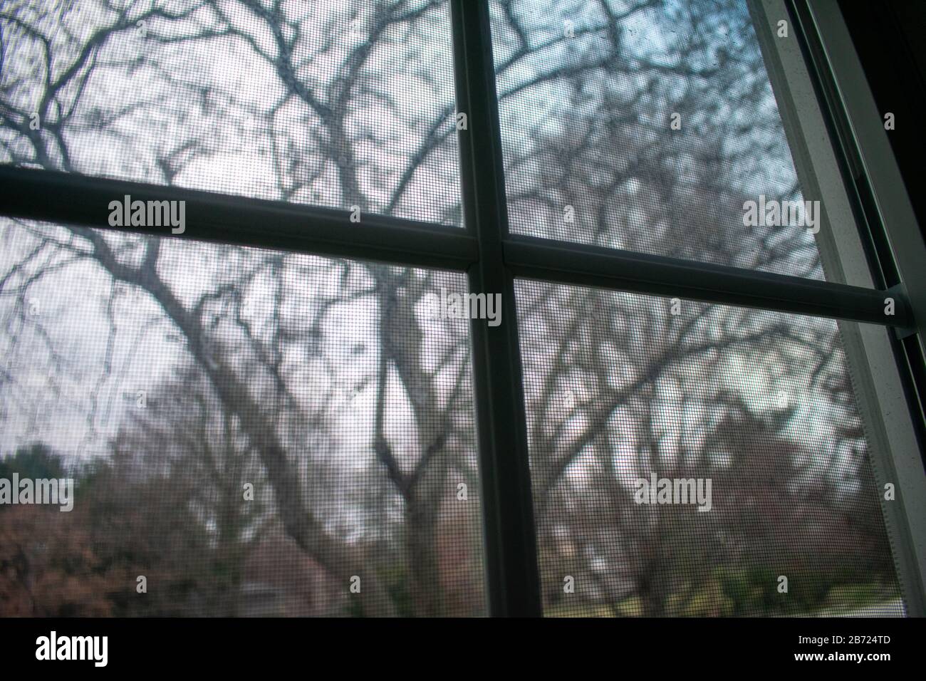 An Old White Wooden Window Looking Outside Stock Photo - Alamy