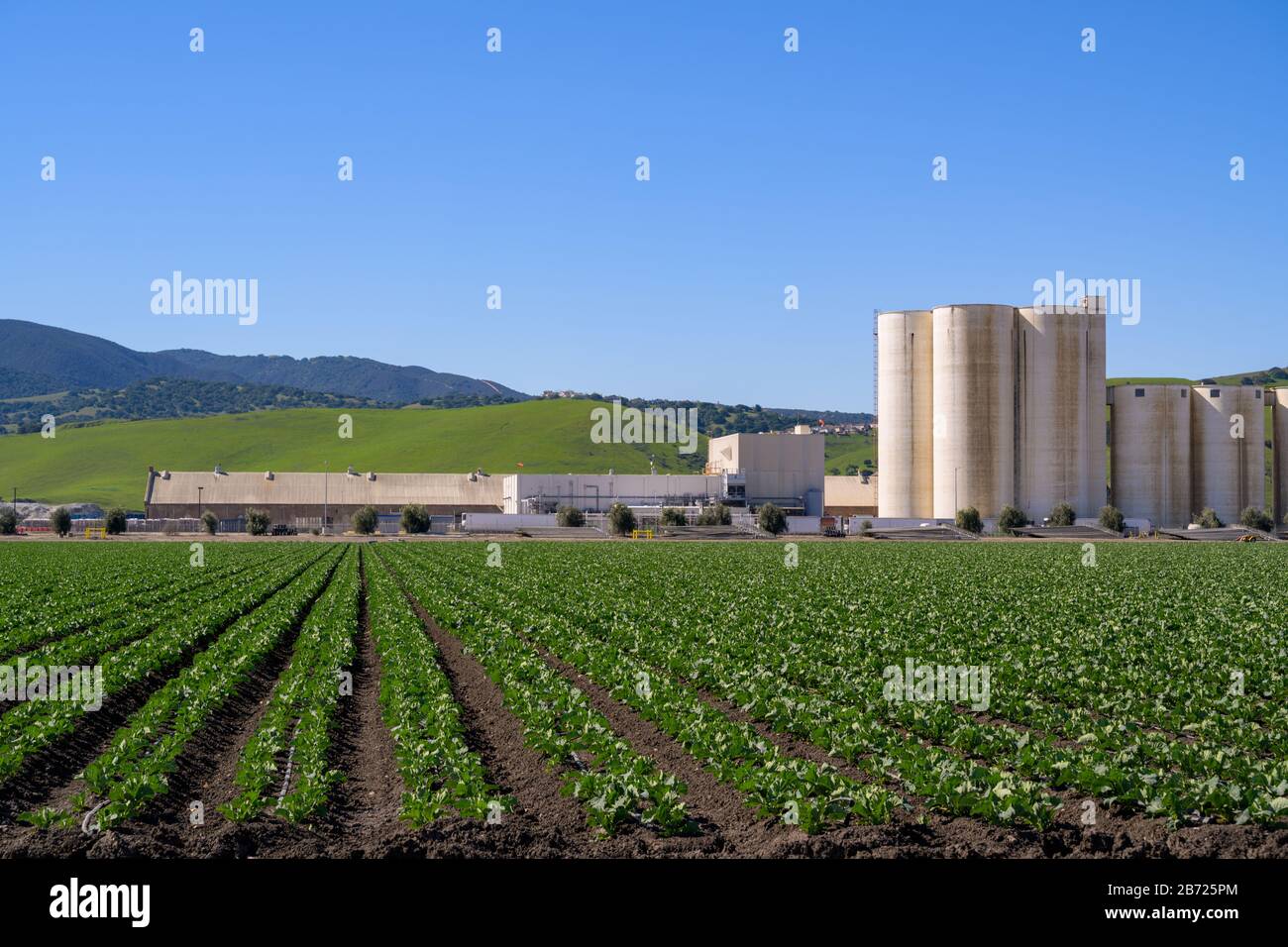 Vegetable field california hi-res stock photography and images - Alamy