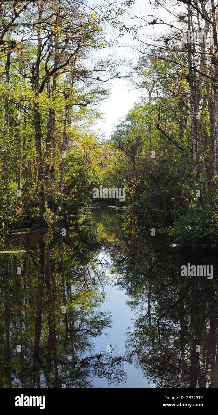 Ochopee hi-res stock photography and images - Alamy