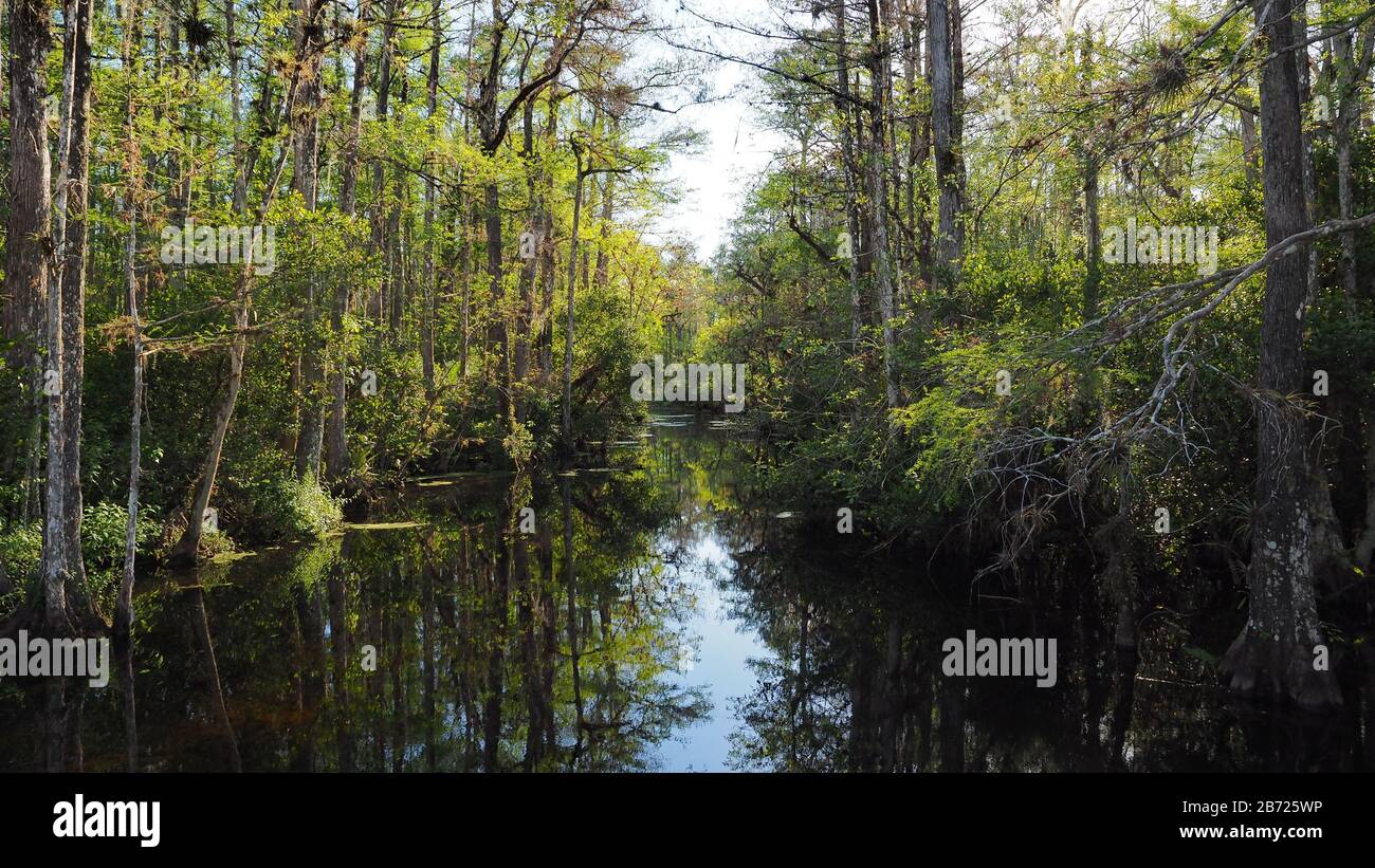 Wetlands loop hi-res stock photography and images - Alamy