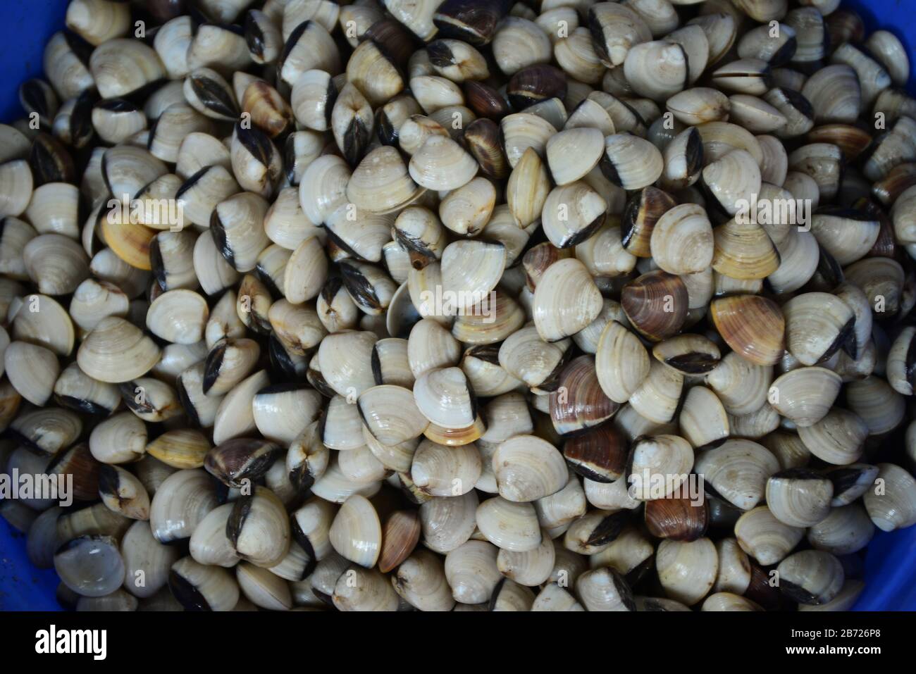 Enamel venus hi-res stock photography and images - Alamy