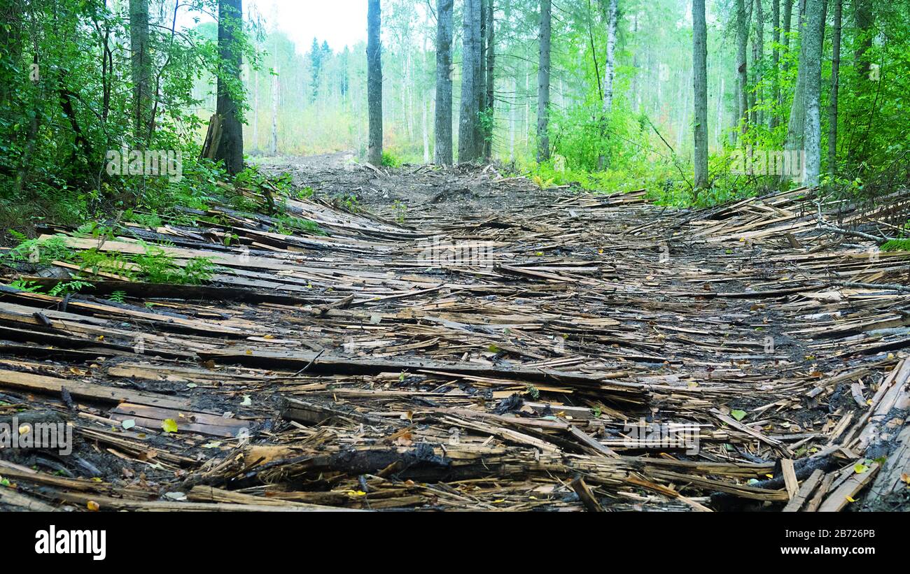Stabilised logging road hi-res stock photography and images - Alamy