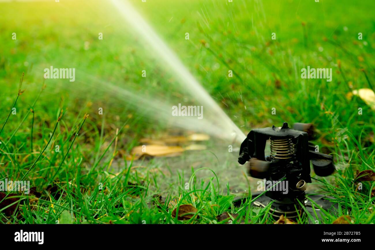 Automatic lawn sprinkler watering green grass. Garden, yard irrigation ...