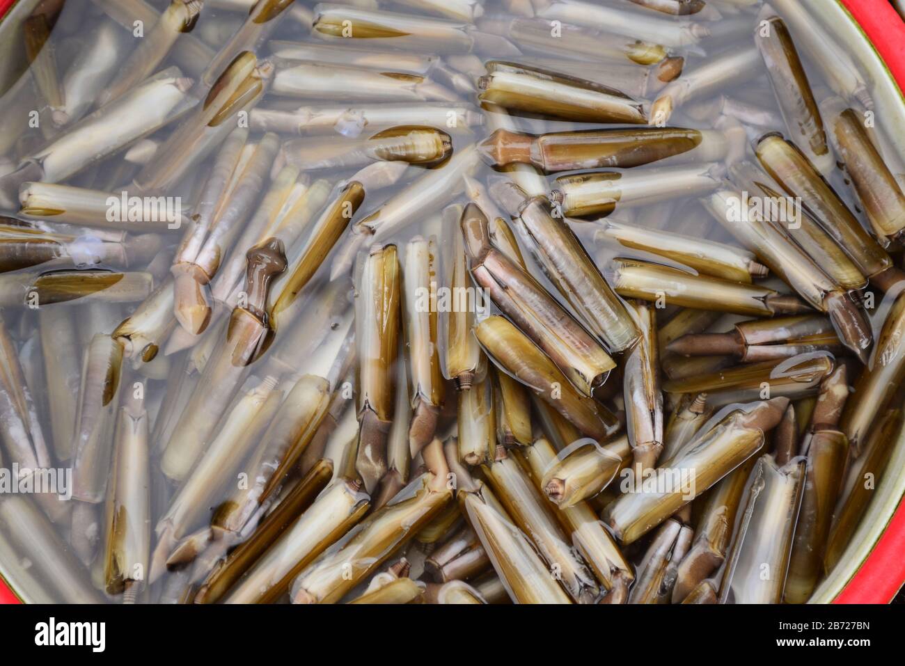 Razor clam Sell in fresh seafood market, note subject is blurry Stock ...