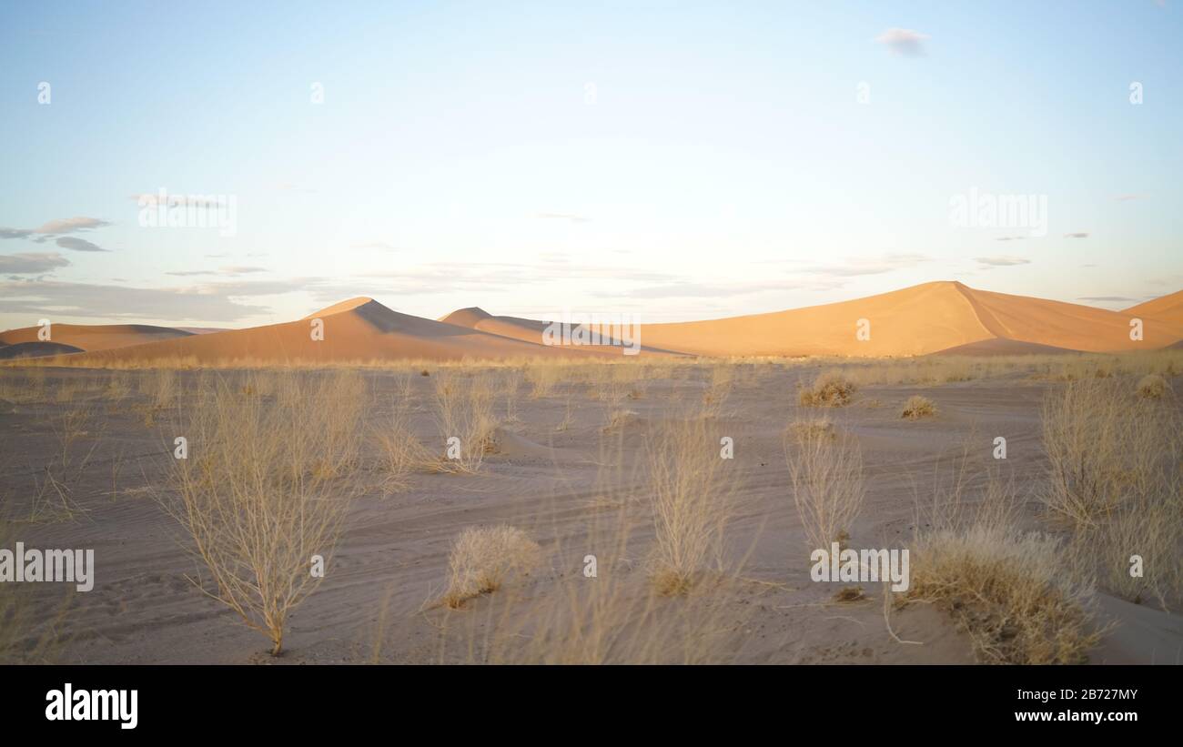 The beautiful Nevada Dessert Stock Photo - Alamy